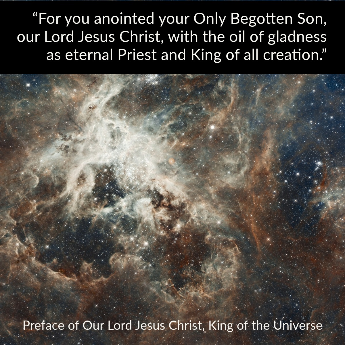 CHRIST THE KING (Year A) – 26th November 2023 | St Thomas the Apostle